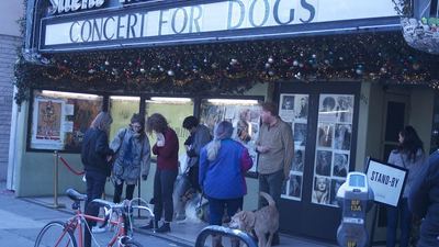 FFC: Concert for Dogs | Far Flungers | Roger Ebert