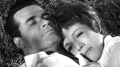 Thumbnails 7/21/14 | Features | Roger Ebert