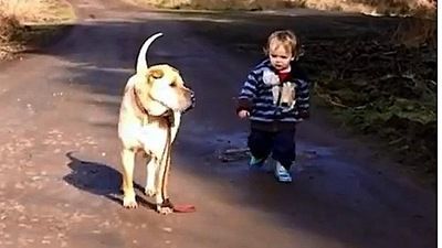 A boy, his dog, and a puddle | Roger Ebert | Roger Ebert