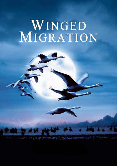 Winged Migration movie review (2003) | Roger Ebert