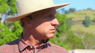 Buck movie review & film summary (2011) | Roger Ebert