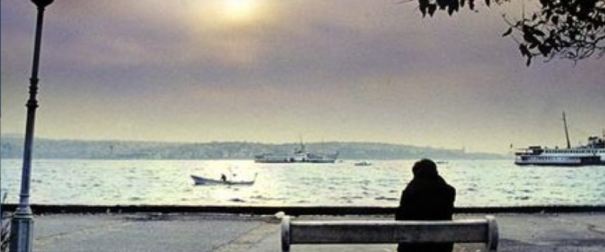 Distant Movie Review & Film Summary (2004) | Roger Ebert