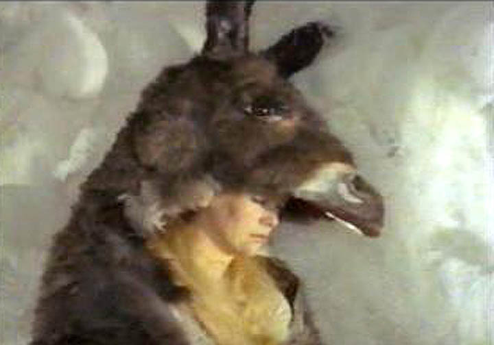 Donkey Skin movie review & film summary (2005) | Roger Ebert