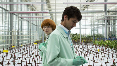 Little Joe movie review & film summary (2019) | Roger Ebert