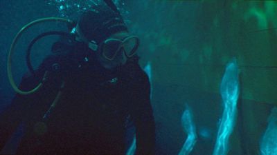 Sea Fever movie review & film summary (2020) | Roger Ebert