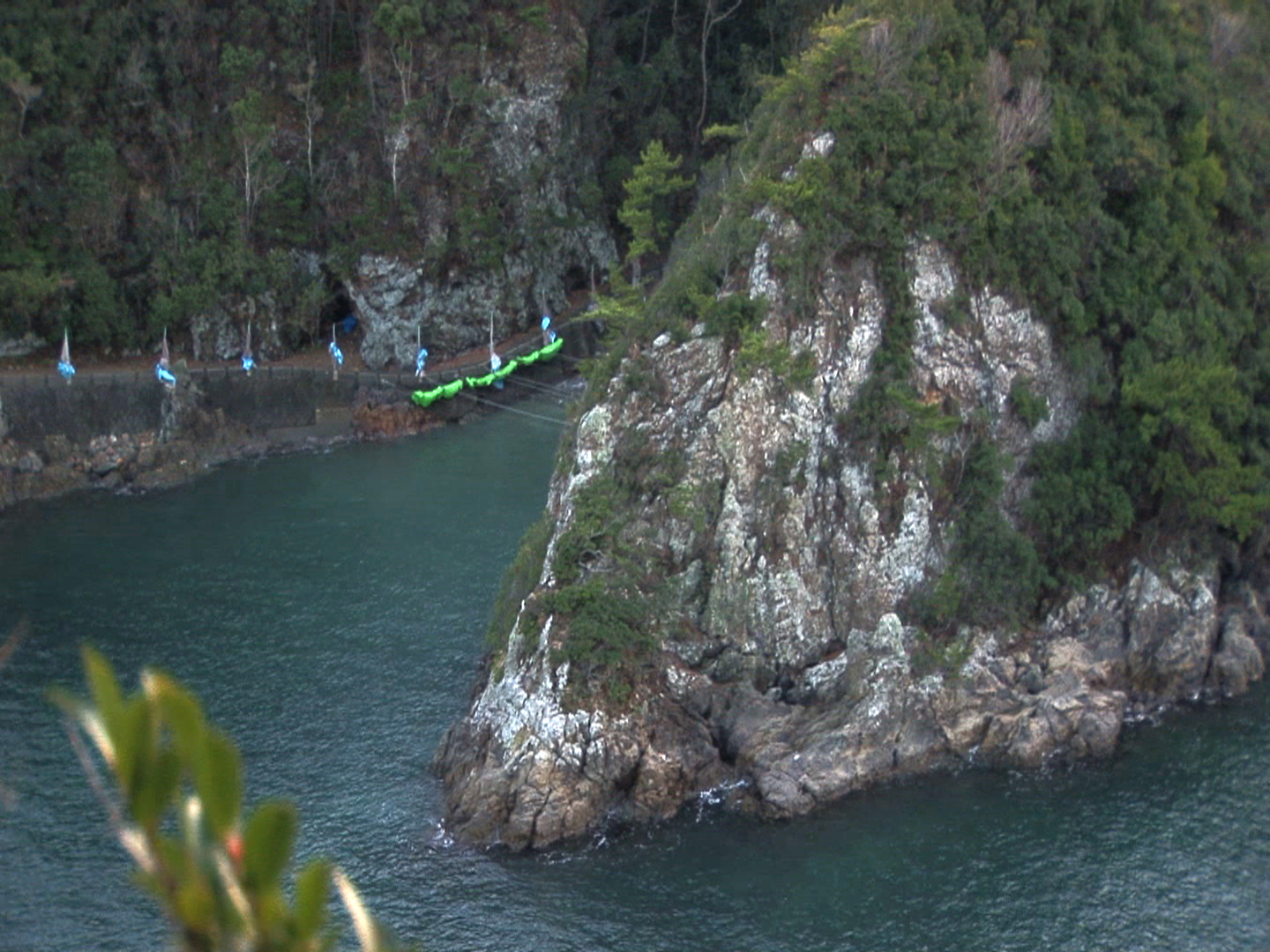 The Cove movie review & film summary (2009) | Roger Ebert
