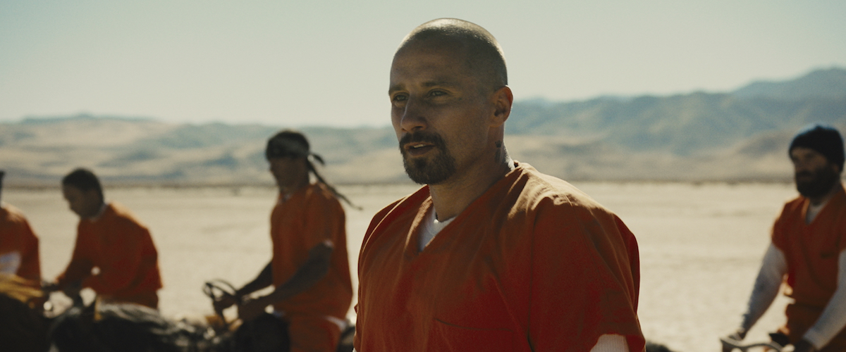 The Mustang movie review & film summary (2019) | Roger Ebert